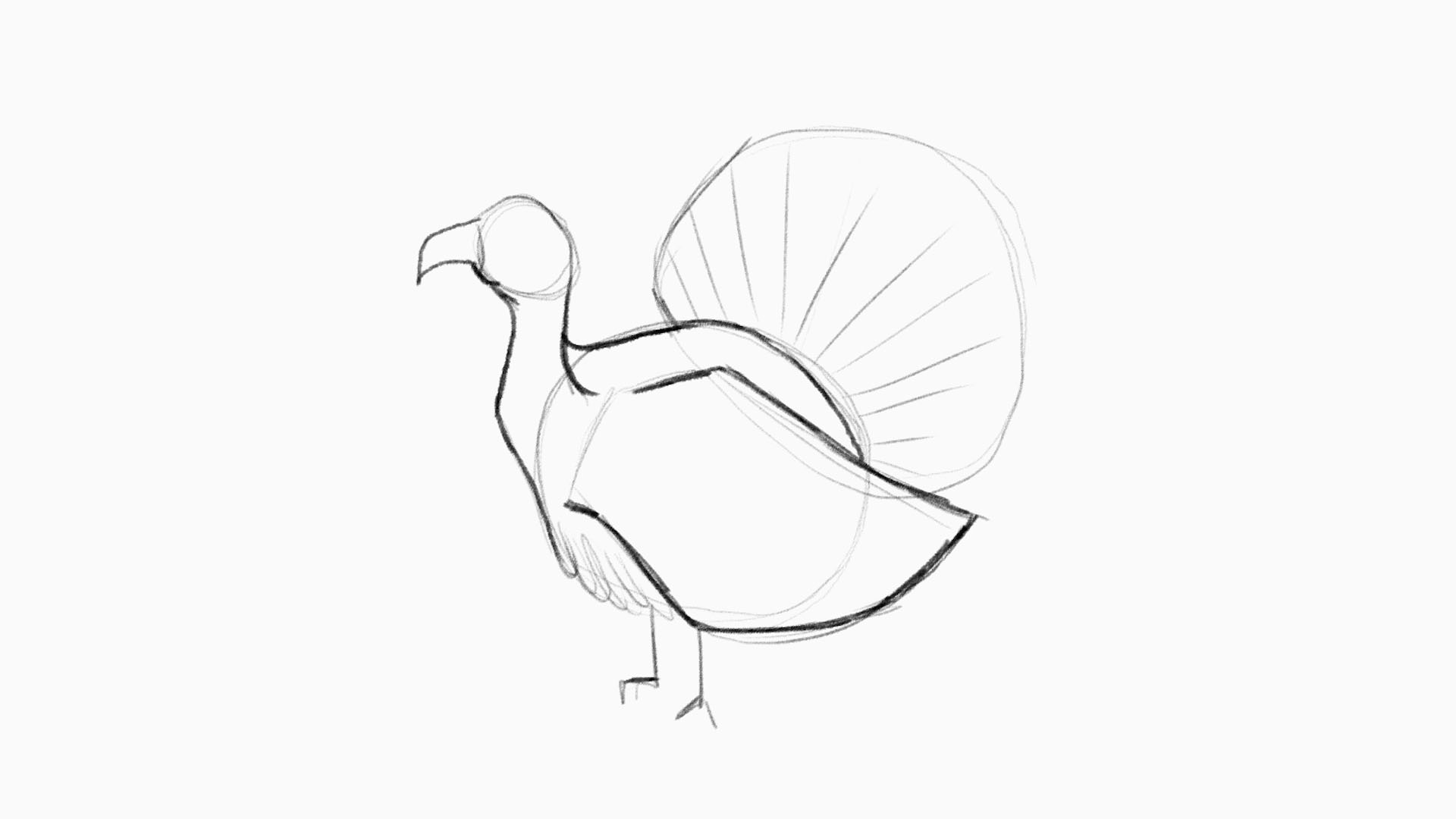 How to draw a turkey uing step-by-step lessons with Da Vinci Eye App
