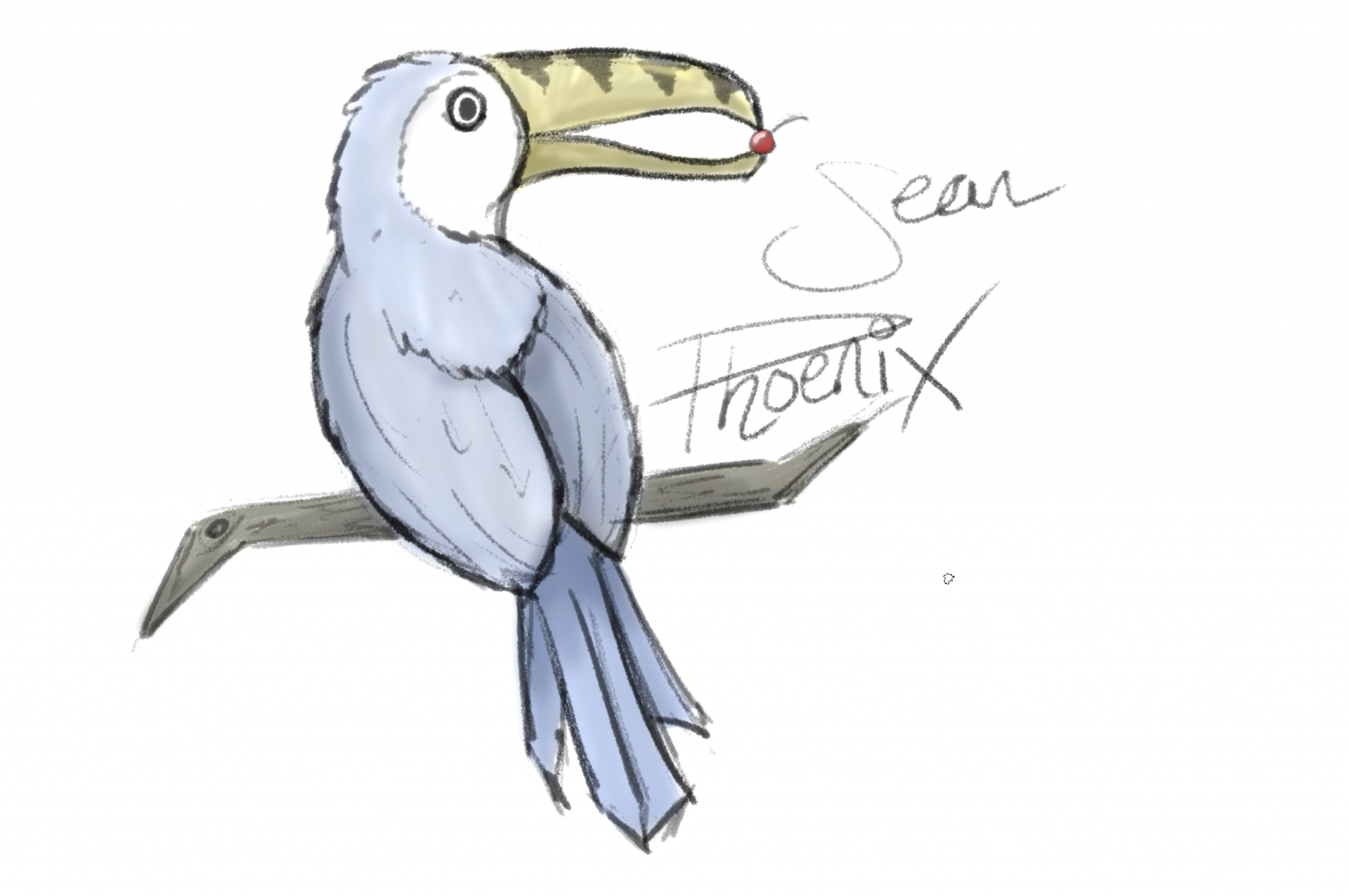 How to Draw a Toucan - drawing lesson by Da Vinci Eye App