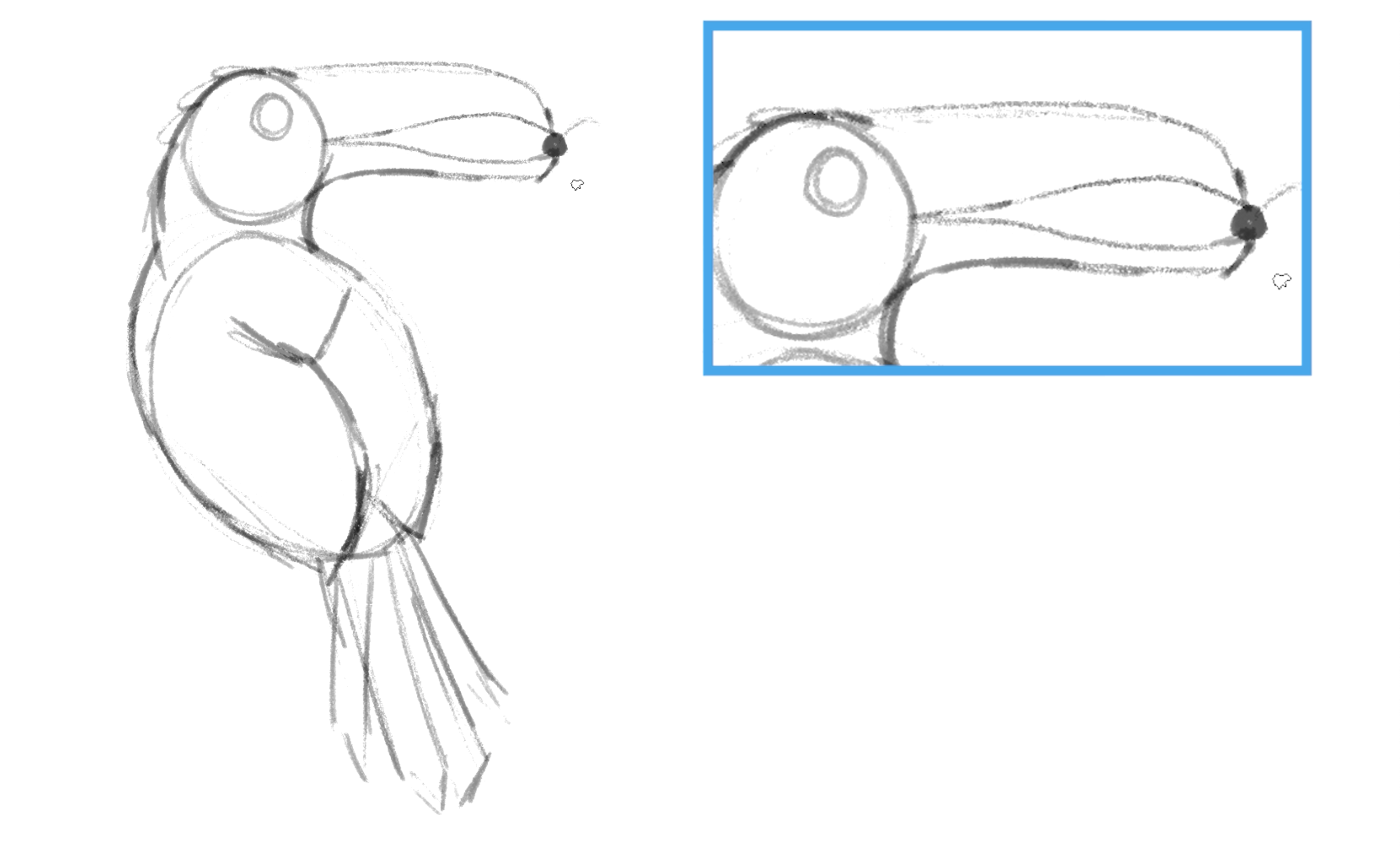 How to Draw a Toucan - drawing lesson by Da Vinci Eye App