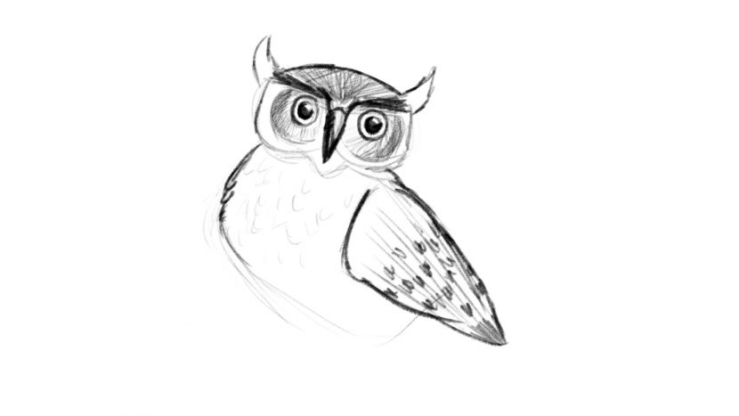 How to draw an owl uing step-by-step lessons with Da Vinci Eye App