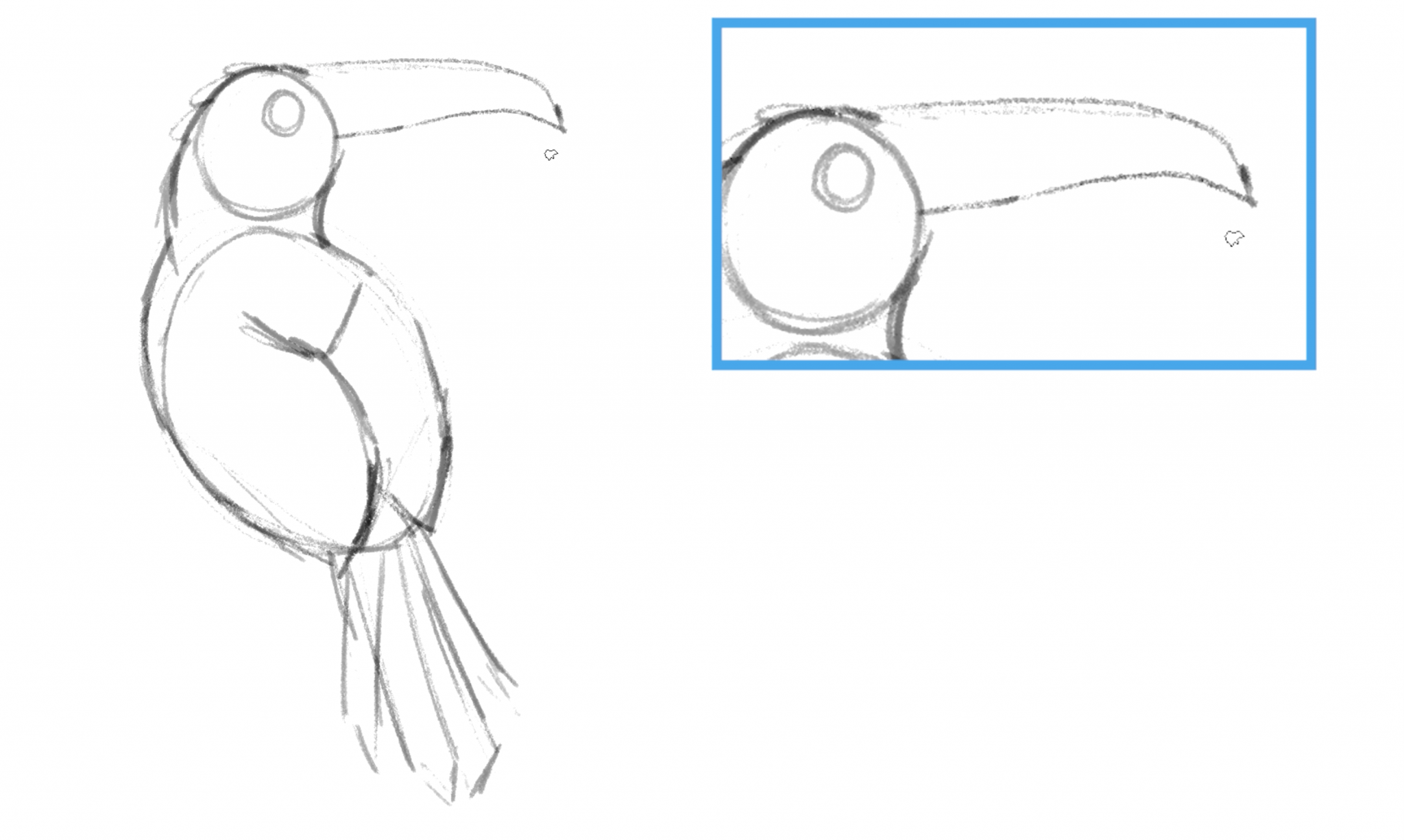How to Draw a Toucan - drawing lesson by Da Vinci Eye App