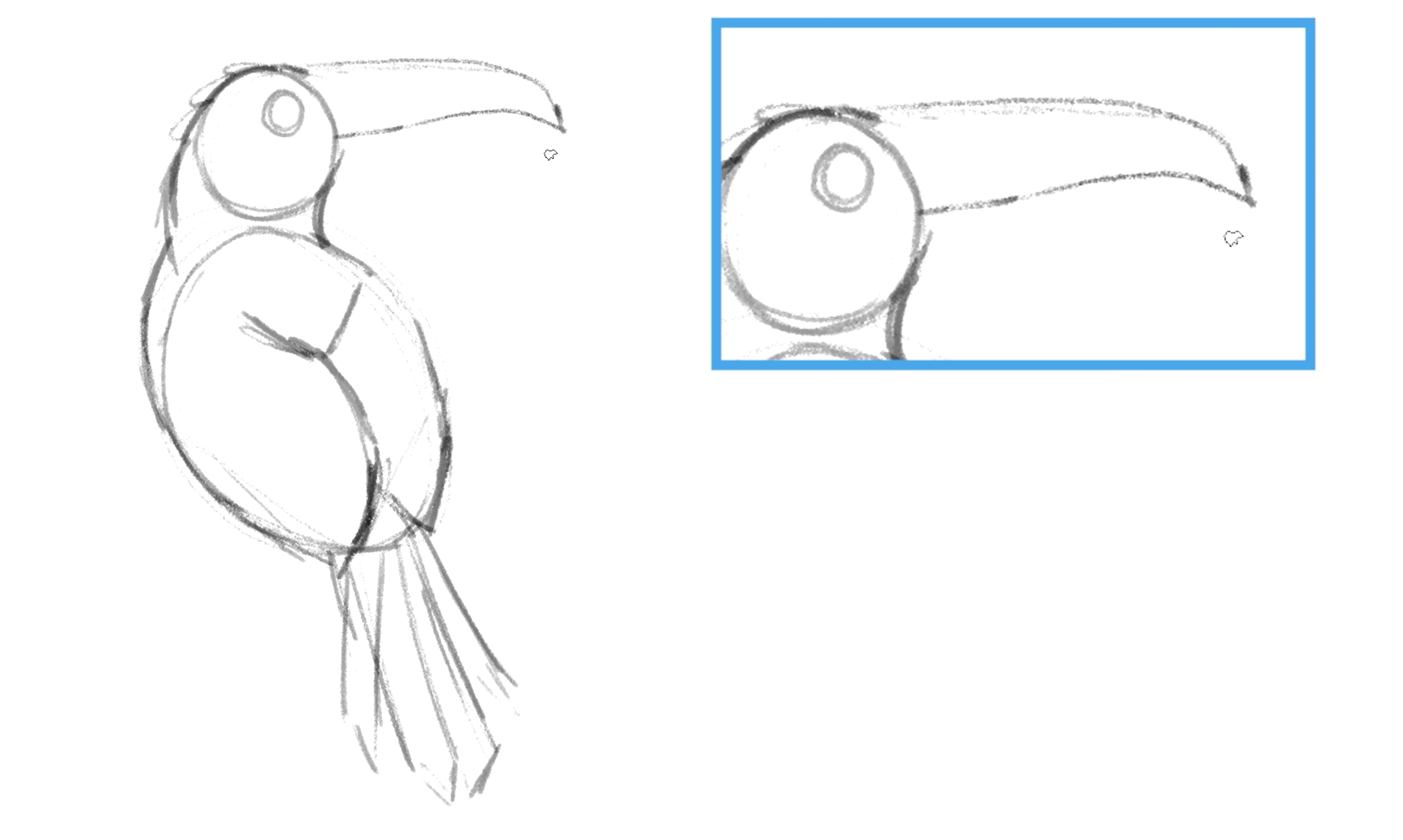 How to Draw a Toucan - drawing lesson by Da Vinci Eye App