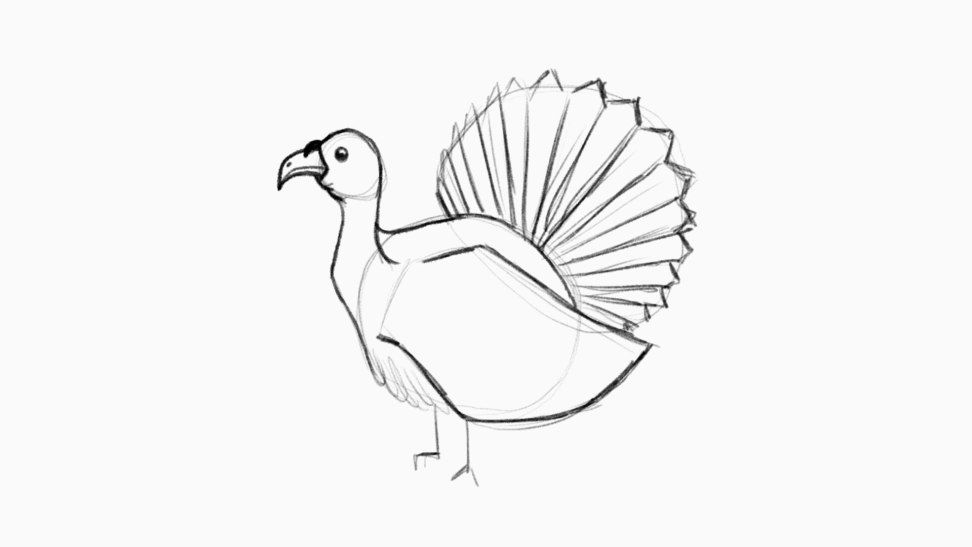How to draw a turkey uing step-by-step lessons with Da Vinci Eye App