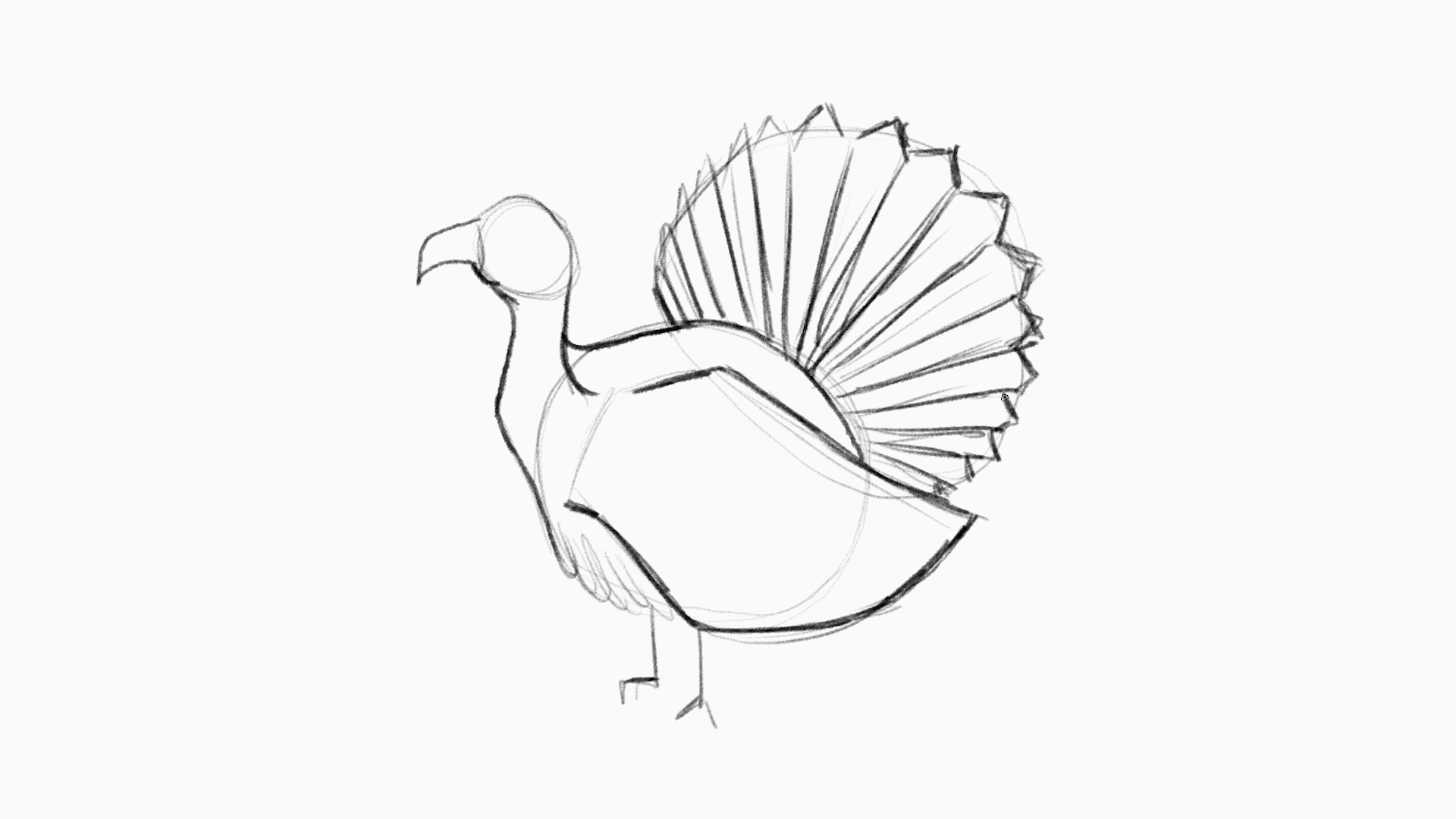 How to draw a turkey uing step-by-step lessons with Da Vinci Eye App
