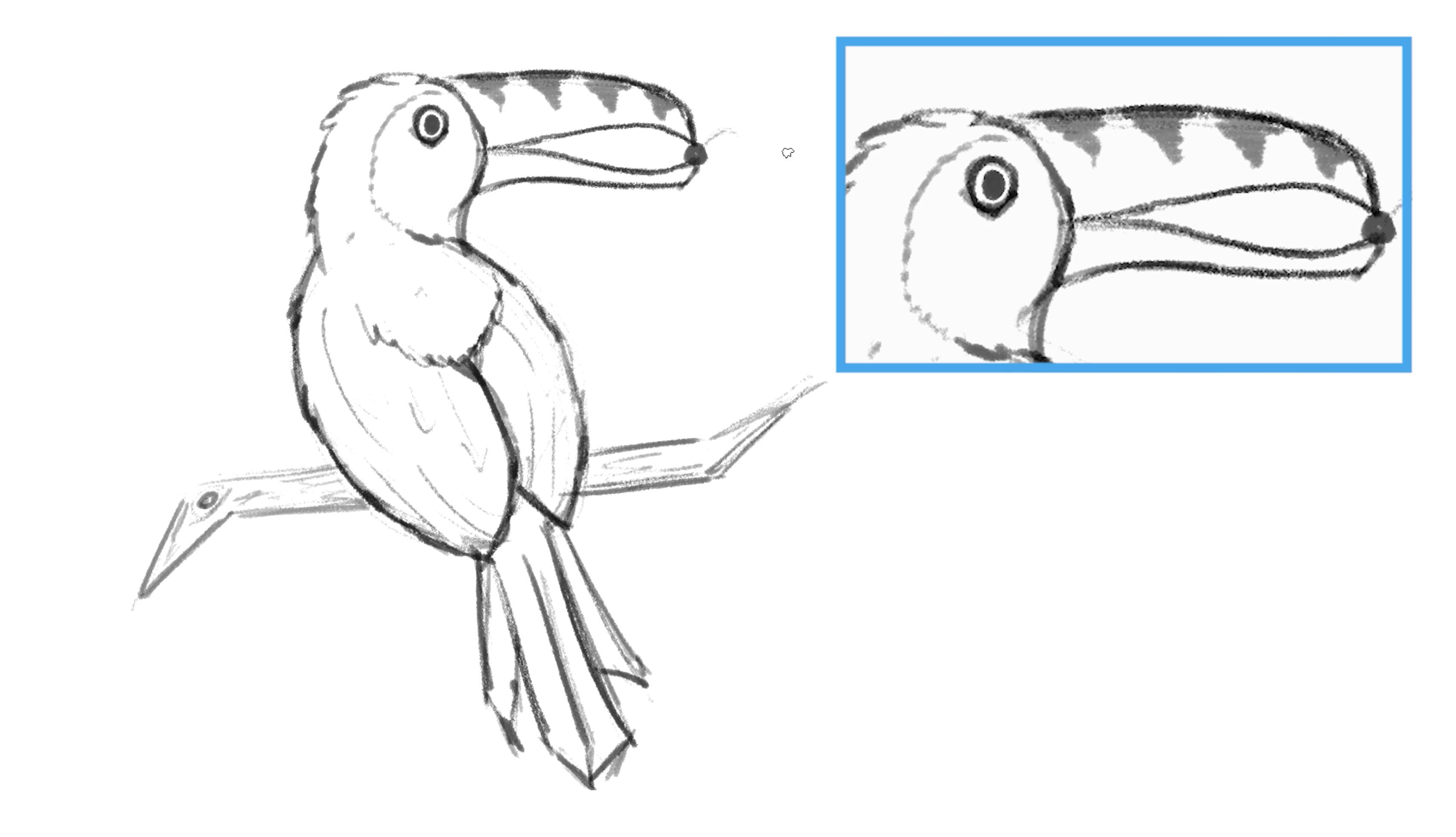 How to Draw a Toucan - drawing lesson by Da Vinci Eye App
